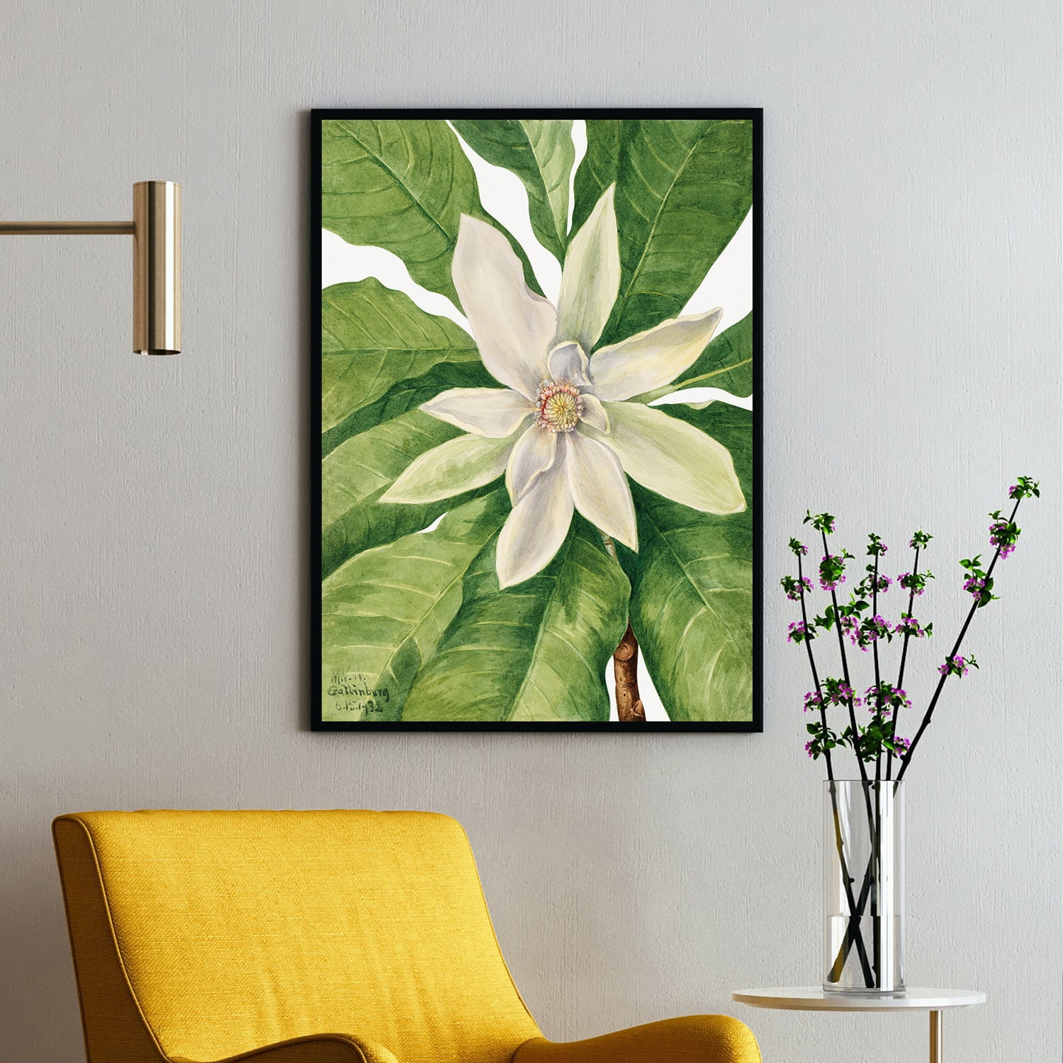 Umbrella Tree - Magnolia tripetala - 1932 | Mary Vaux Walcott | Premium ...