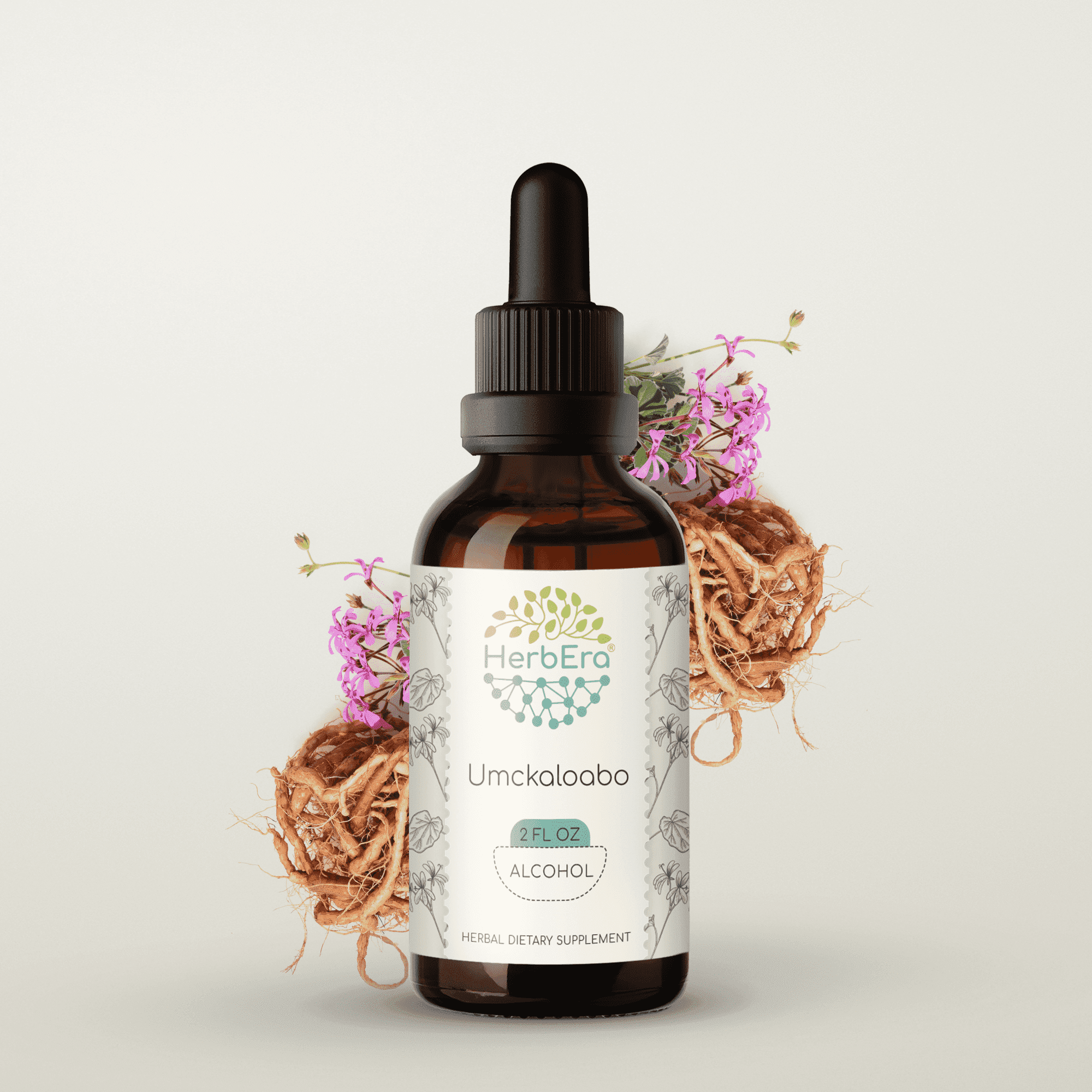 HerbEra Umckaloabo Tincture, Herbal Dietary Supplement for Respiratory ...