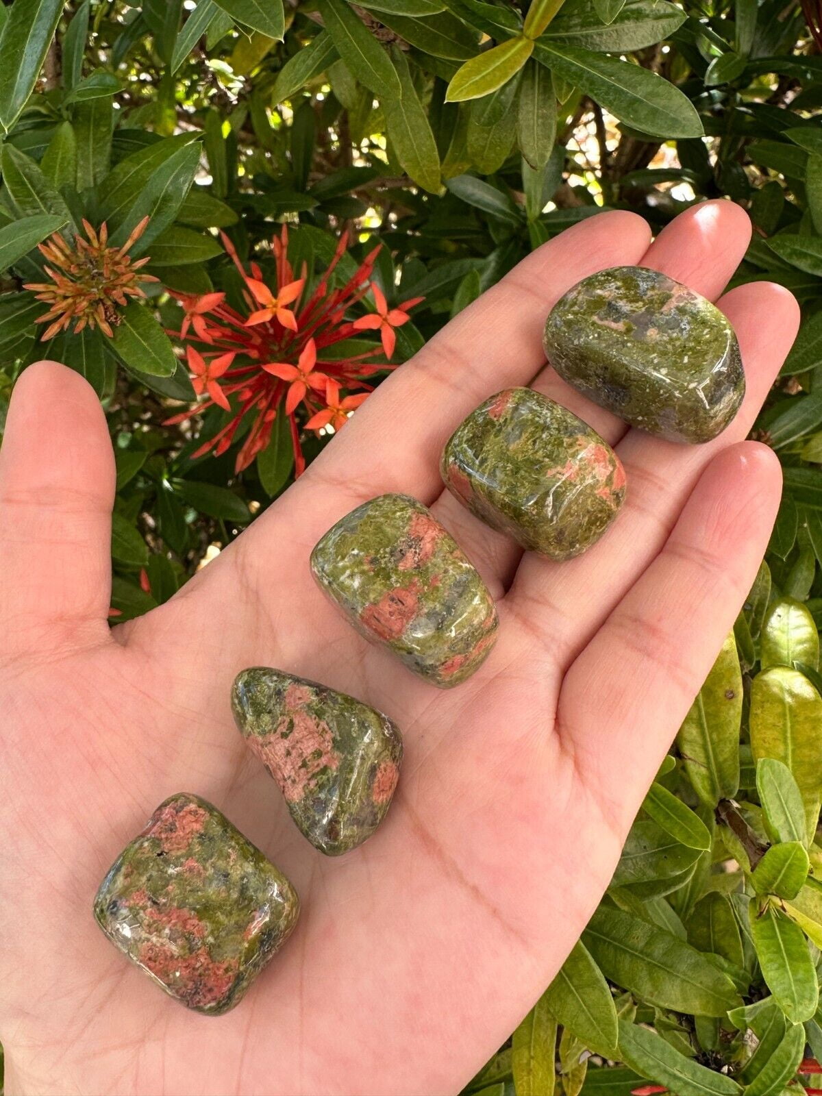 Unakite Tumbled Stones, 0.75-1" Tumbled Unakite Stone - Walmart.com
