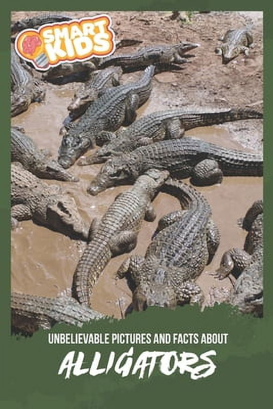 Unbelievable Pictures and Facts About Alligators (Paperback) - Walmart.com