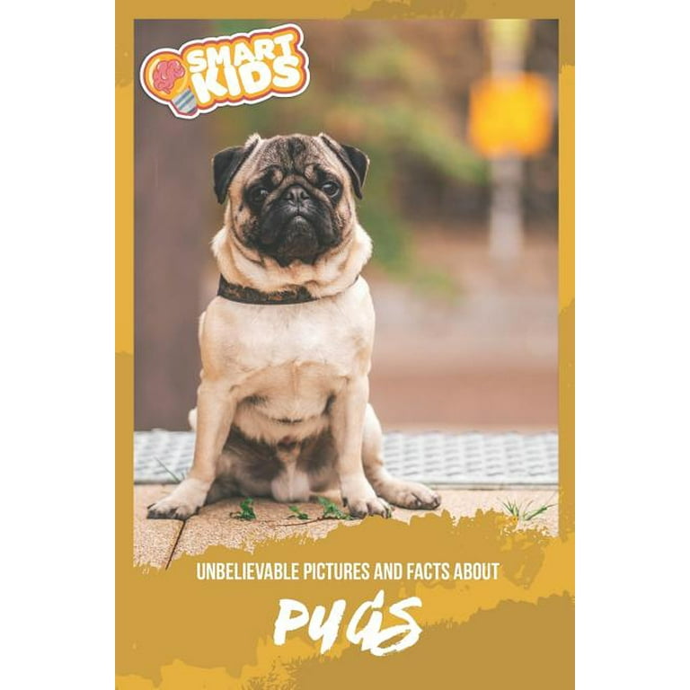 Things About Pugs | ppgbbe.intranet.biologia.ufrj.br