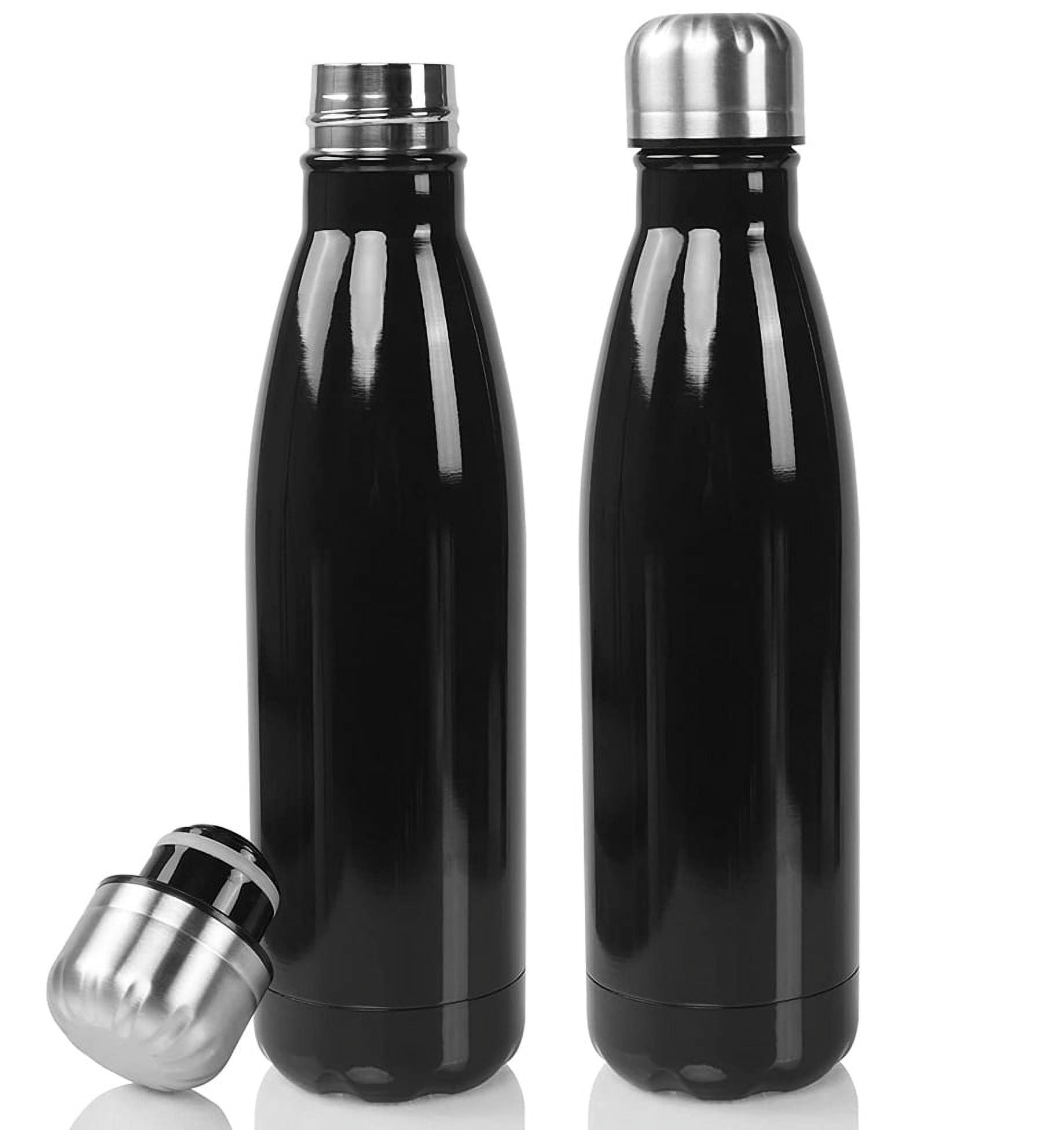 Double Wall Vacuum Insulated Water Bottle, 17oz Stainless Steel Eco ...