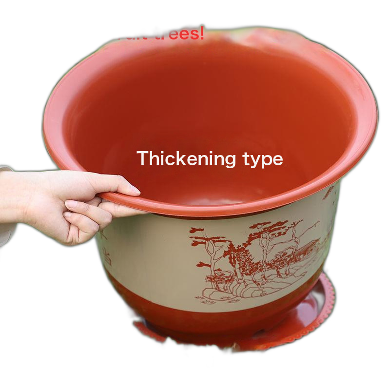 Uncle Flower Plastic Basin Fruit Tree And Rich Ceramics Chinese ...