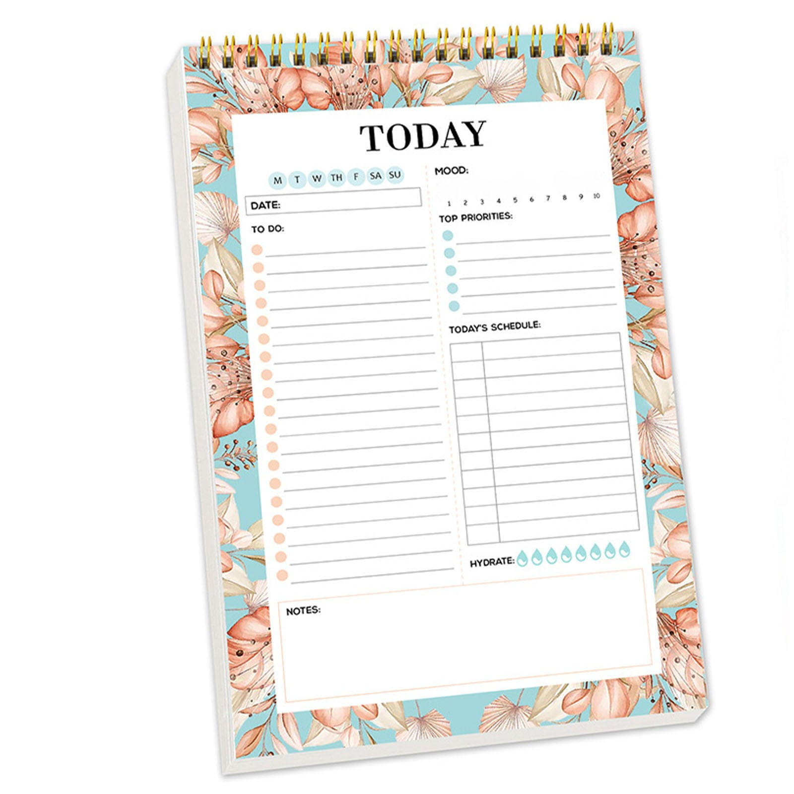 Undated Daily Planner, 6 Months, Full Page Per Day & Hourly Schedule ...