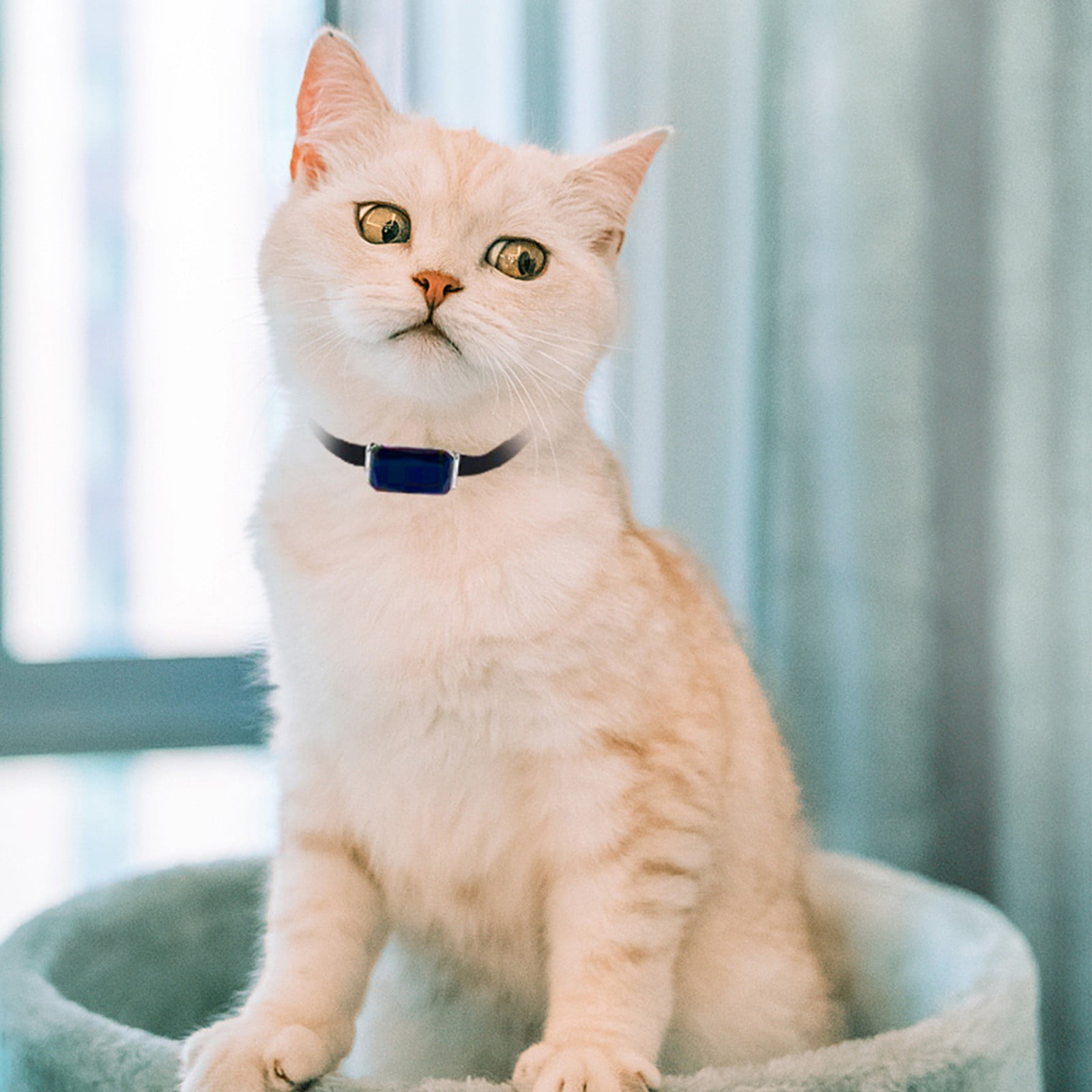 Under 10, Pet GPS Tracker Real-Time Tracking Collar Device APP Control ...