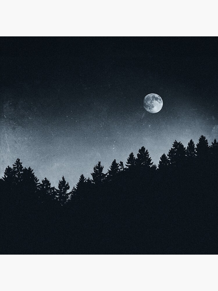 Under Moonlight // Ghost Wood Vibes In A Dark Forest With Cascadia ...