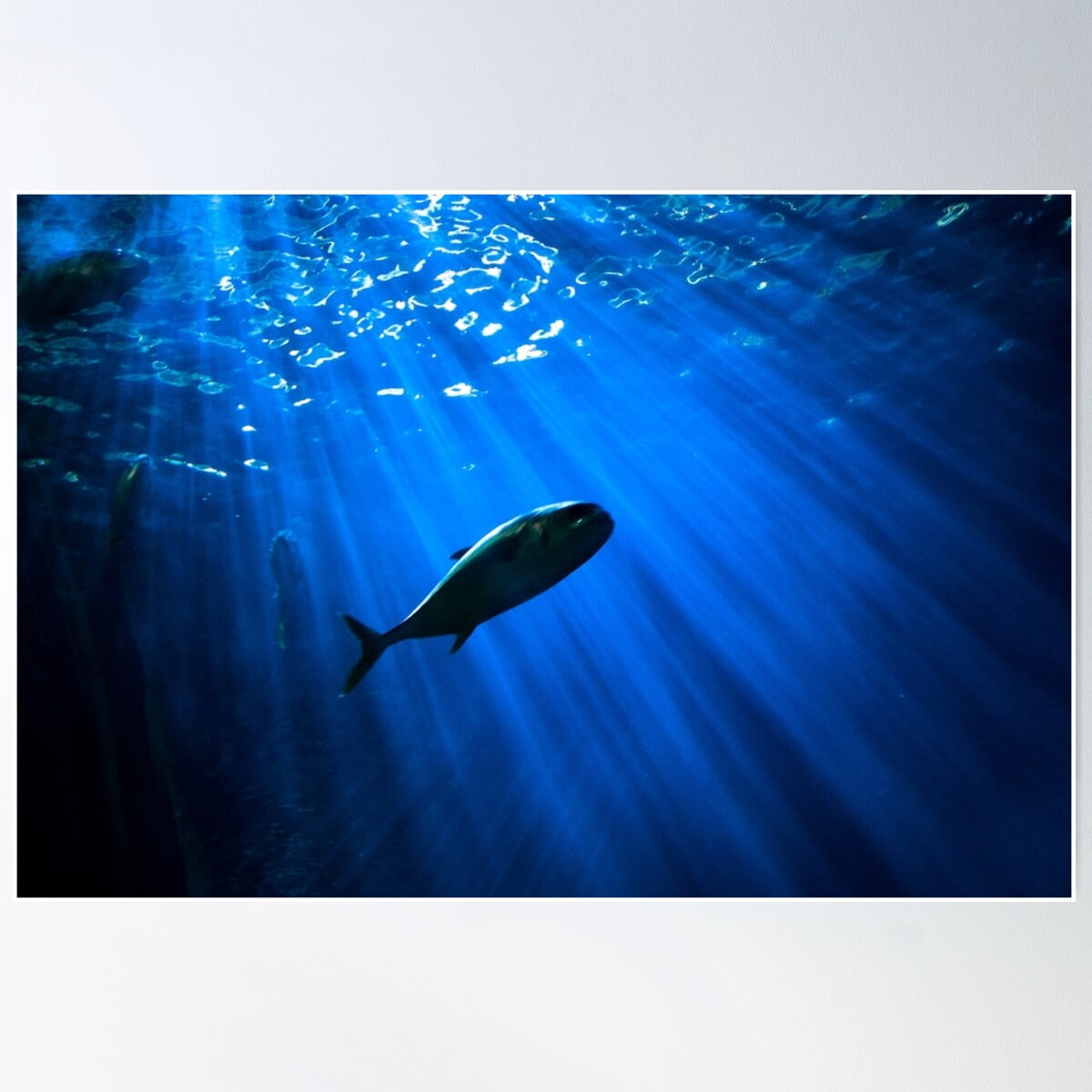 Under The Navy Blue Sea Life Poster Wall Art, Modern Wall Decor For ...