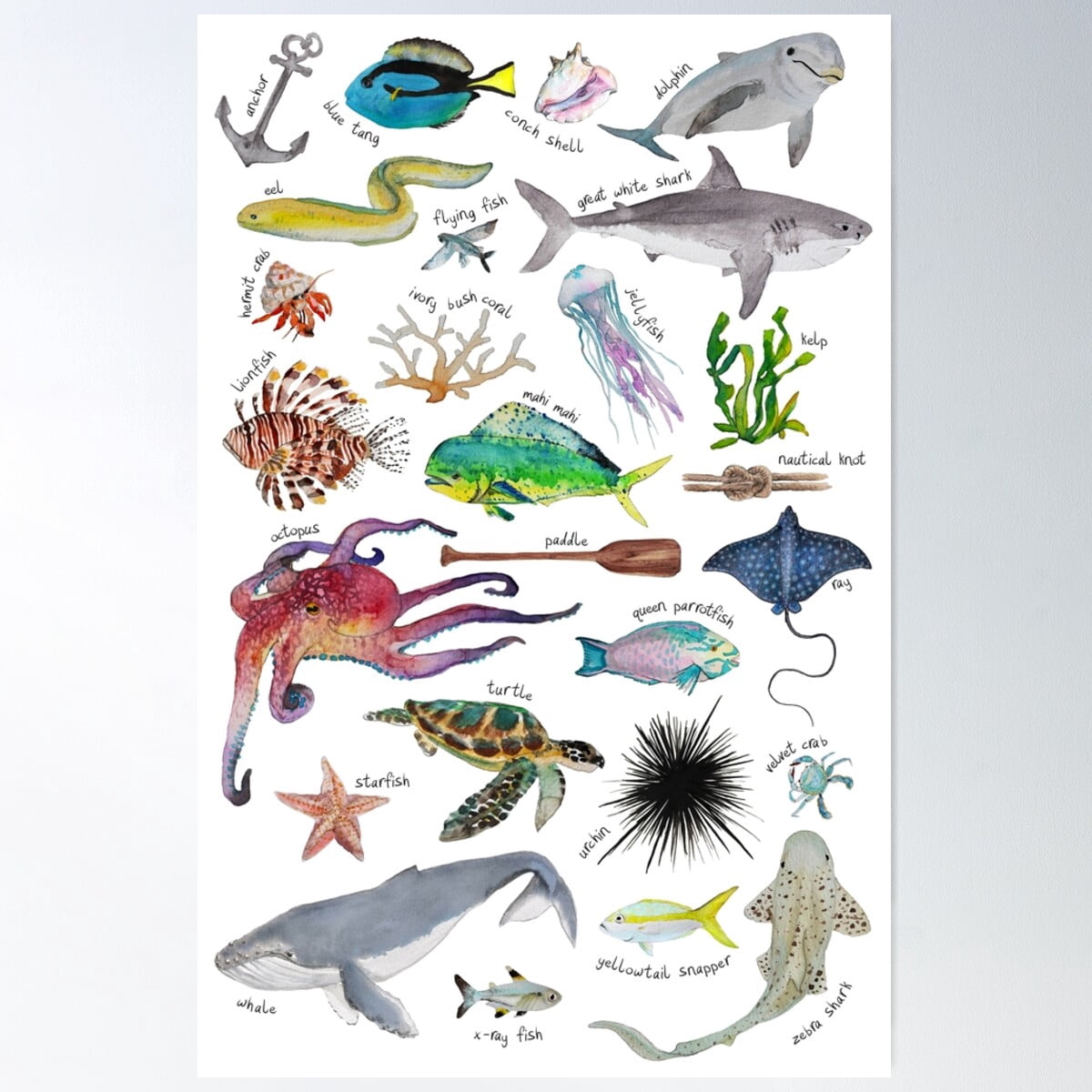 Under The Sea Alphabet Poster Wall Art, Modern Wall Decor For Living ...