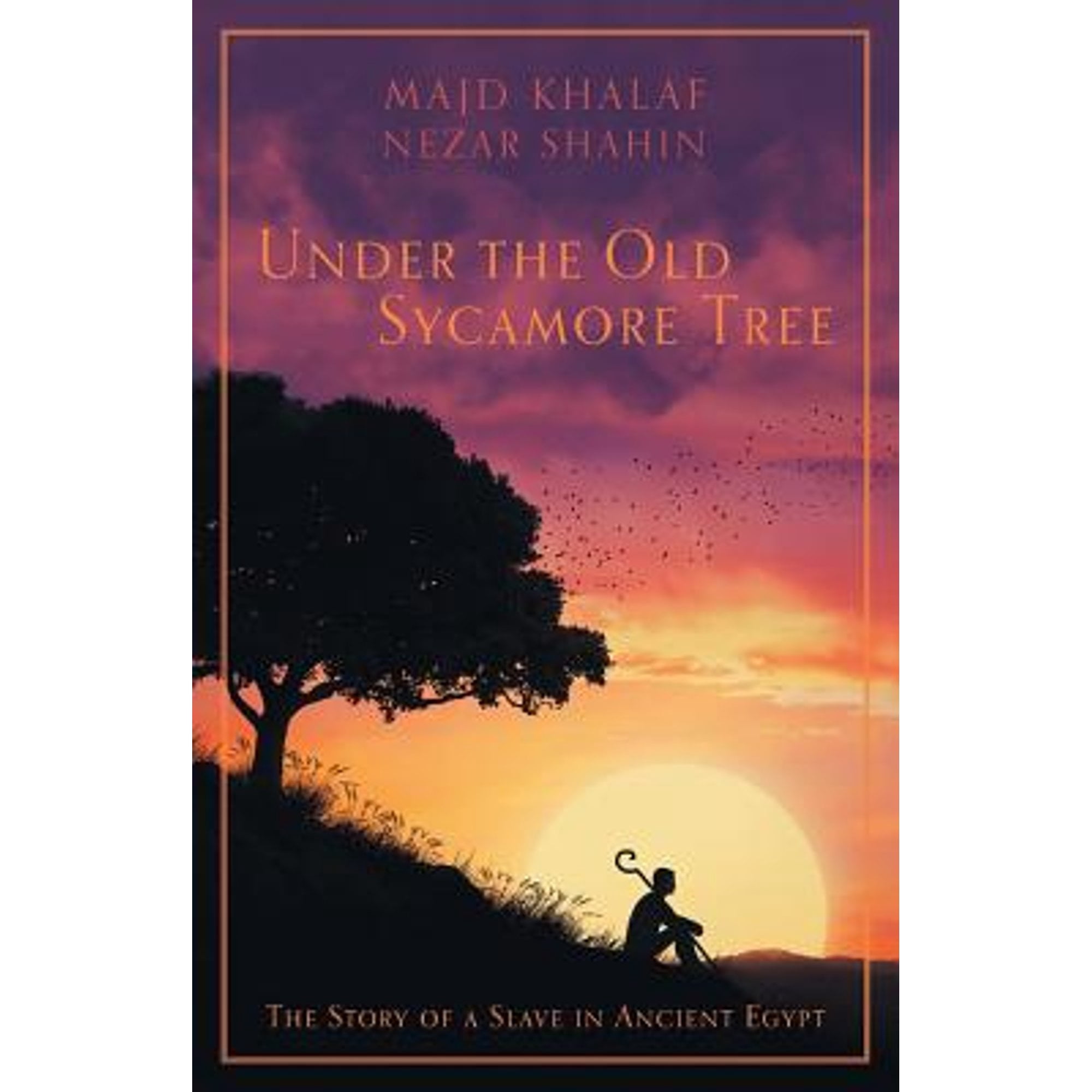 Pre-Owned Under the Old Sycamore Tree: The Story of a Slave in Ancient ...