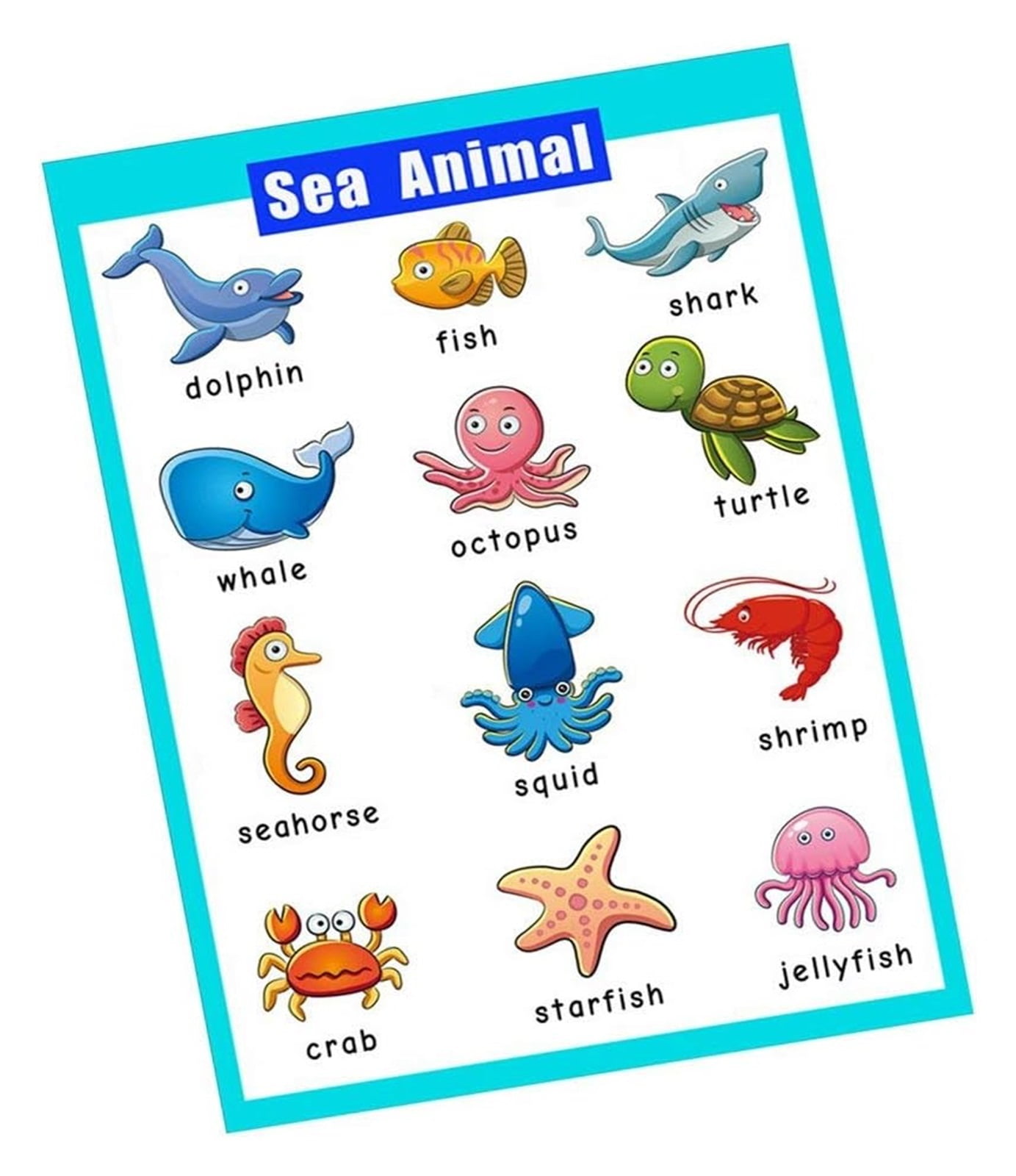 Ocean Animals Educational Poster - Sea Creatures Learning Chart for ...