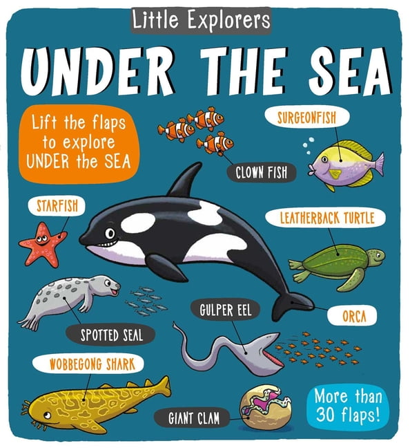 Under the Sea (Board Book) - Walmart.com