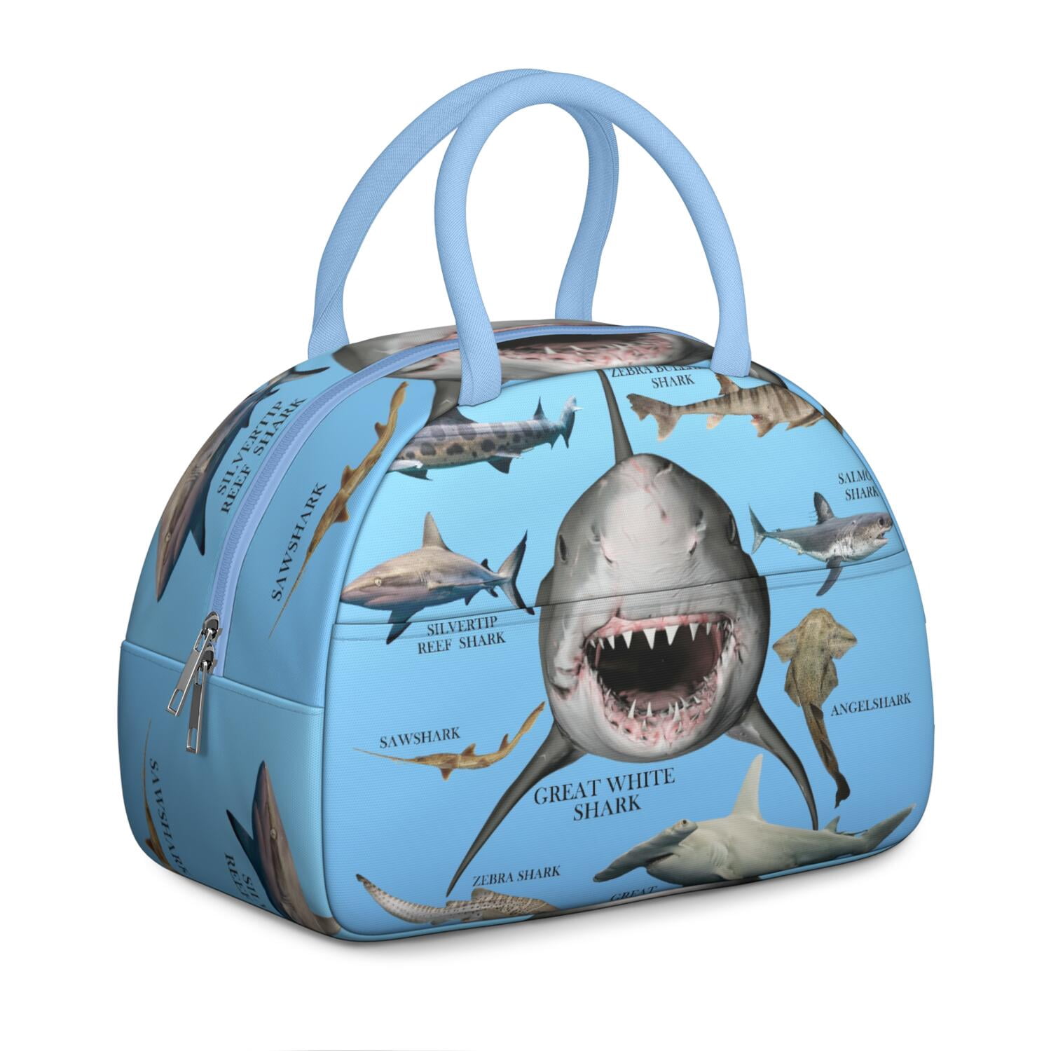 Under the Sea Collection: Shark & Whale Lunch Box for Women, Premium ...