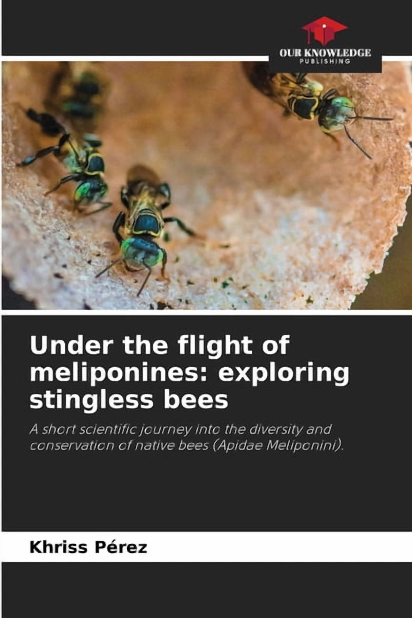 Under the flight of meliponines: exploring stingless bees, (Paperback ...