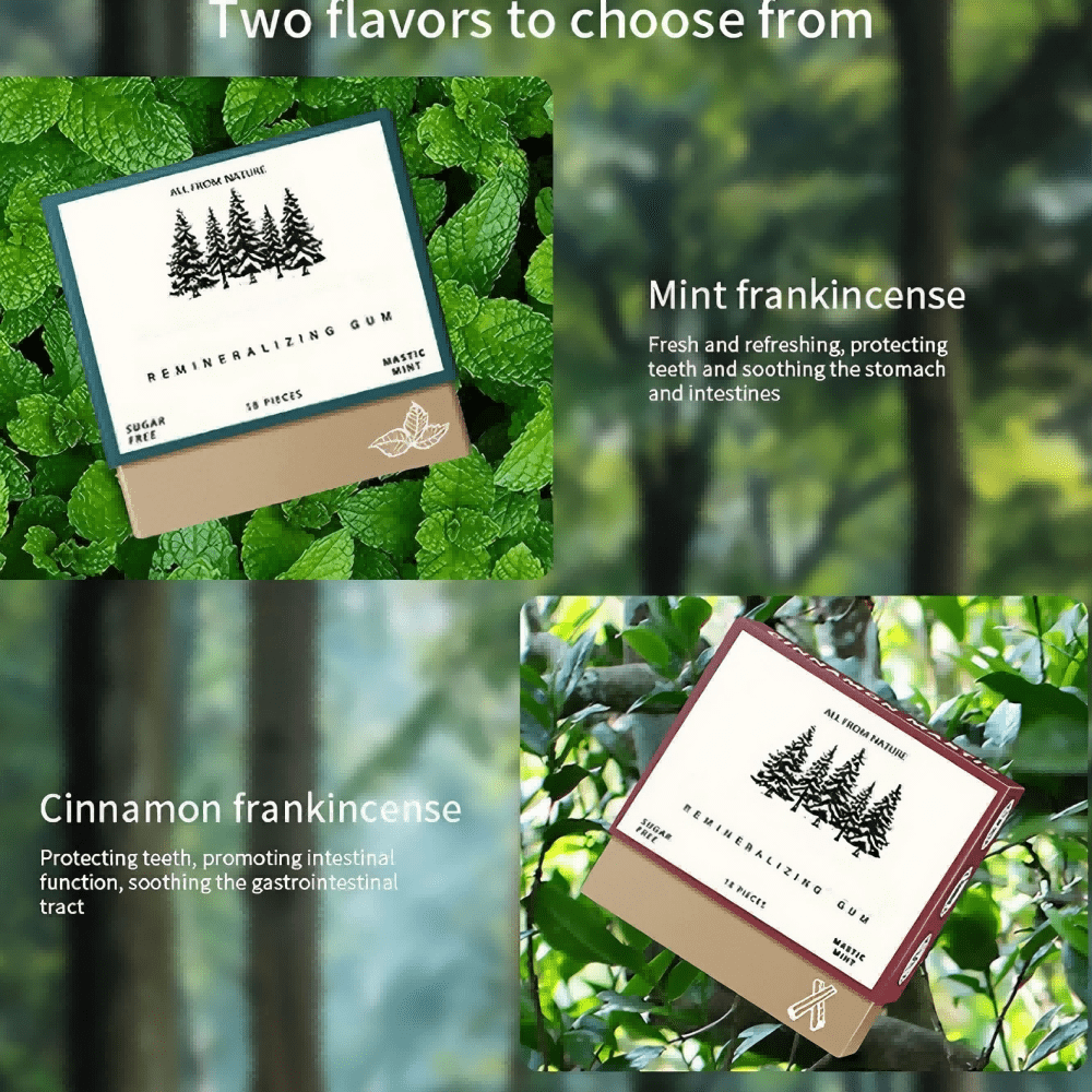 Underbrush Remineralizing Chewing Gum, 2025 New Organic Natural Mastic ...