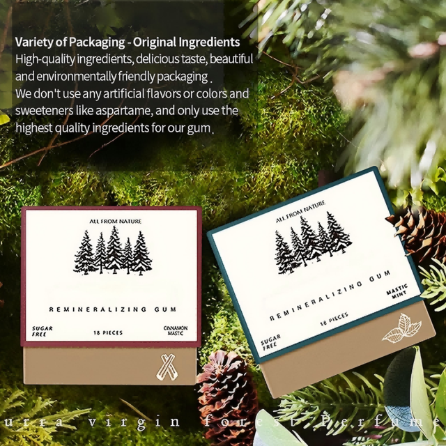 Underbrush Remineralizing Chewing Gum, 2025 New Organic Natural Mastic ...