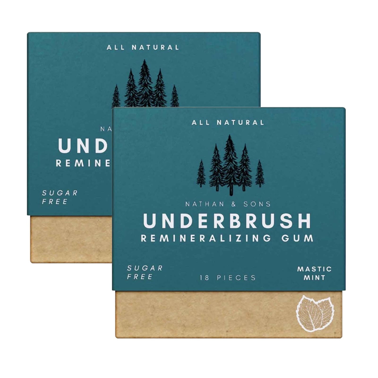 Underbrush Remineralizing Chewing Gum, Organic Mastic Mint Miracle ...