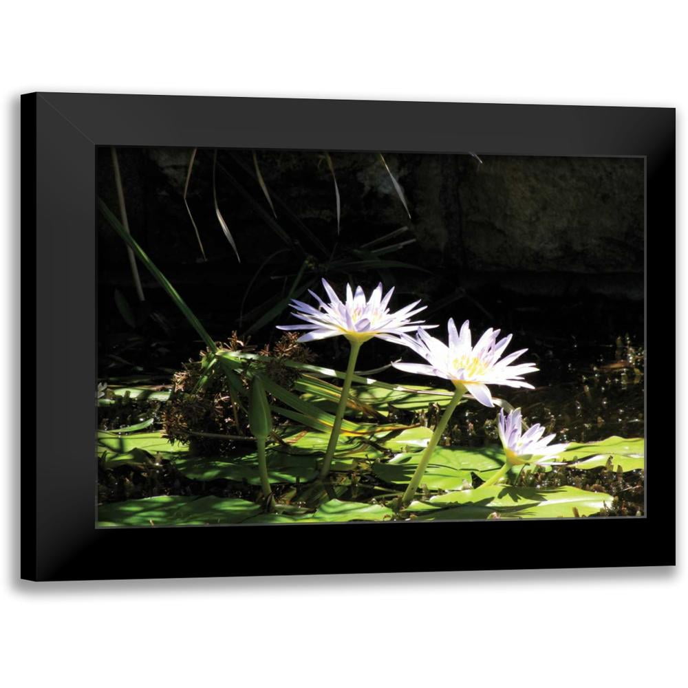 Underdahl, Dana 14x12 Black Modern Framed Museum Art Print Titled ...