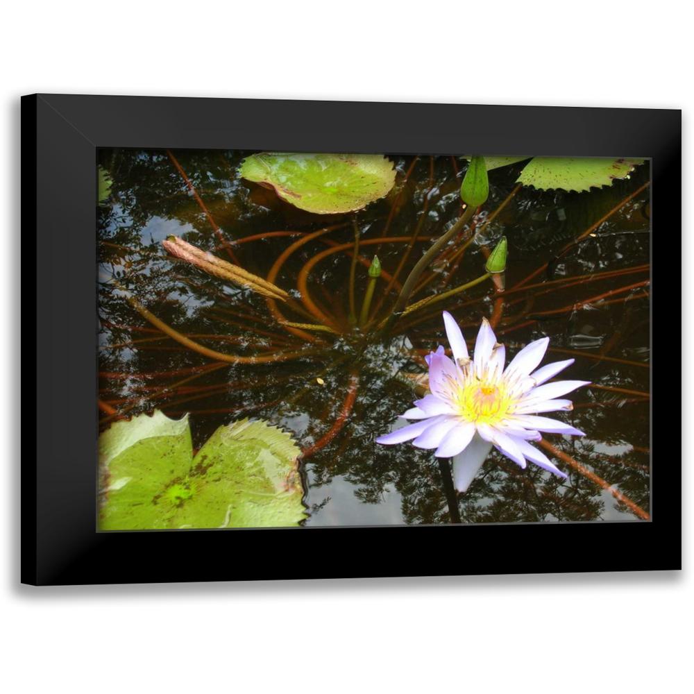 Underdahl, Dana 18x14 Black Modern Framed Museum Art Print Titled ...