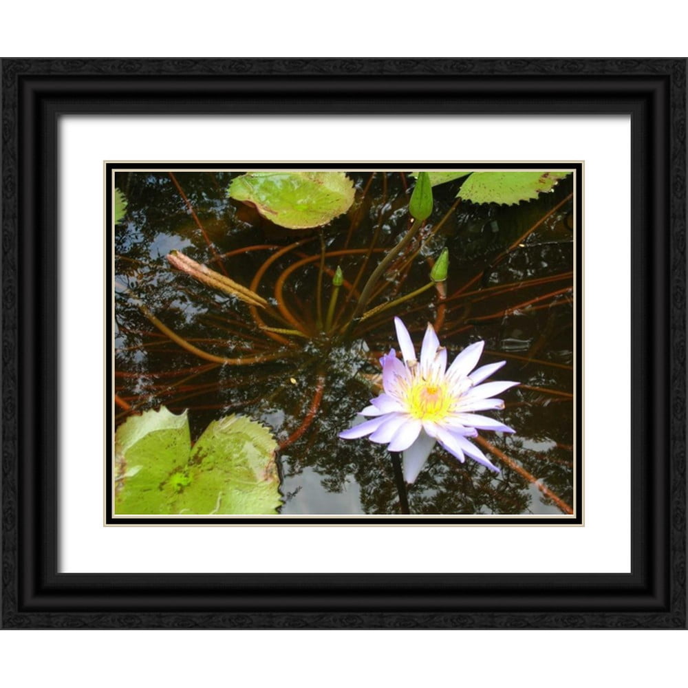 Underdahl, Dana 18x14 Black Ornate Wood Framed with Double Matting ...