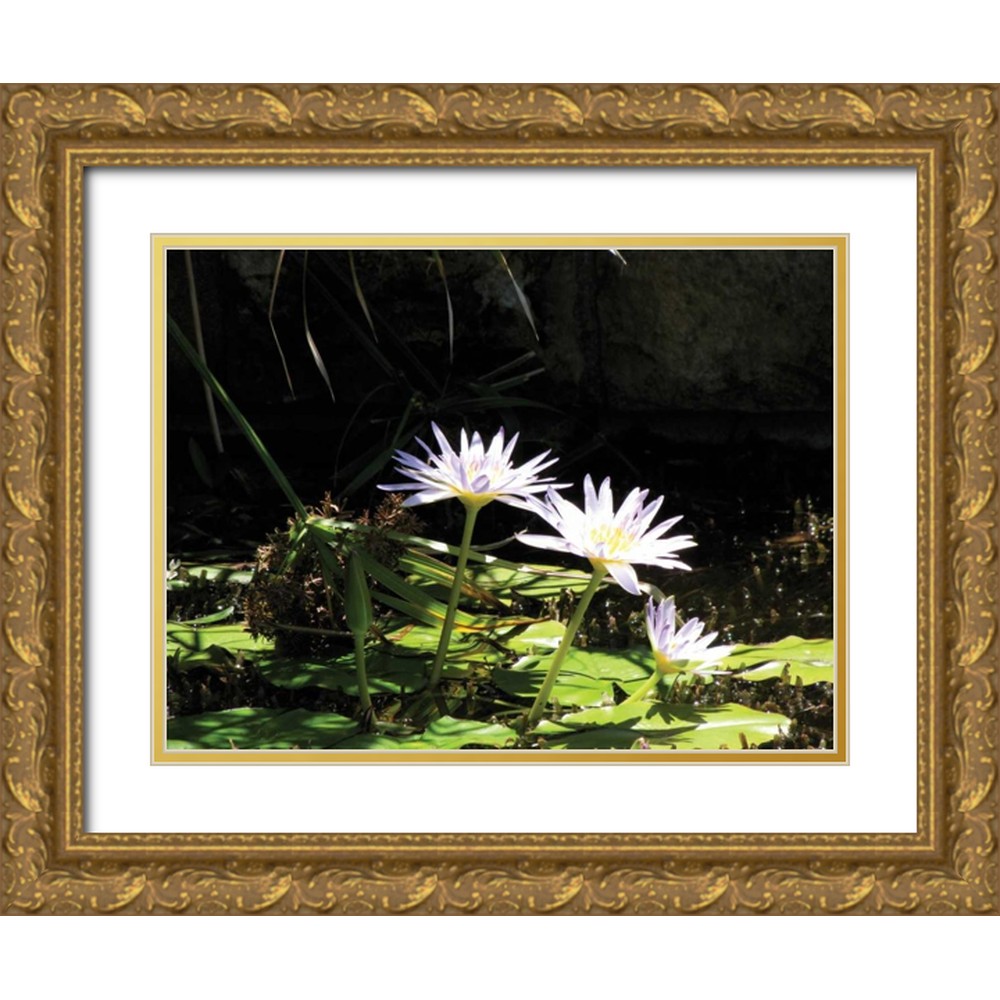 Underdahl, Dana 18x15 Gold Ornate Wood Framed with Double Matting ...