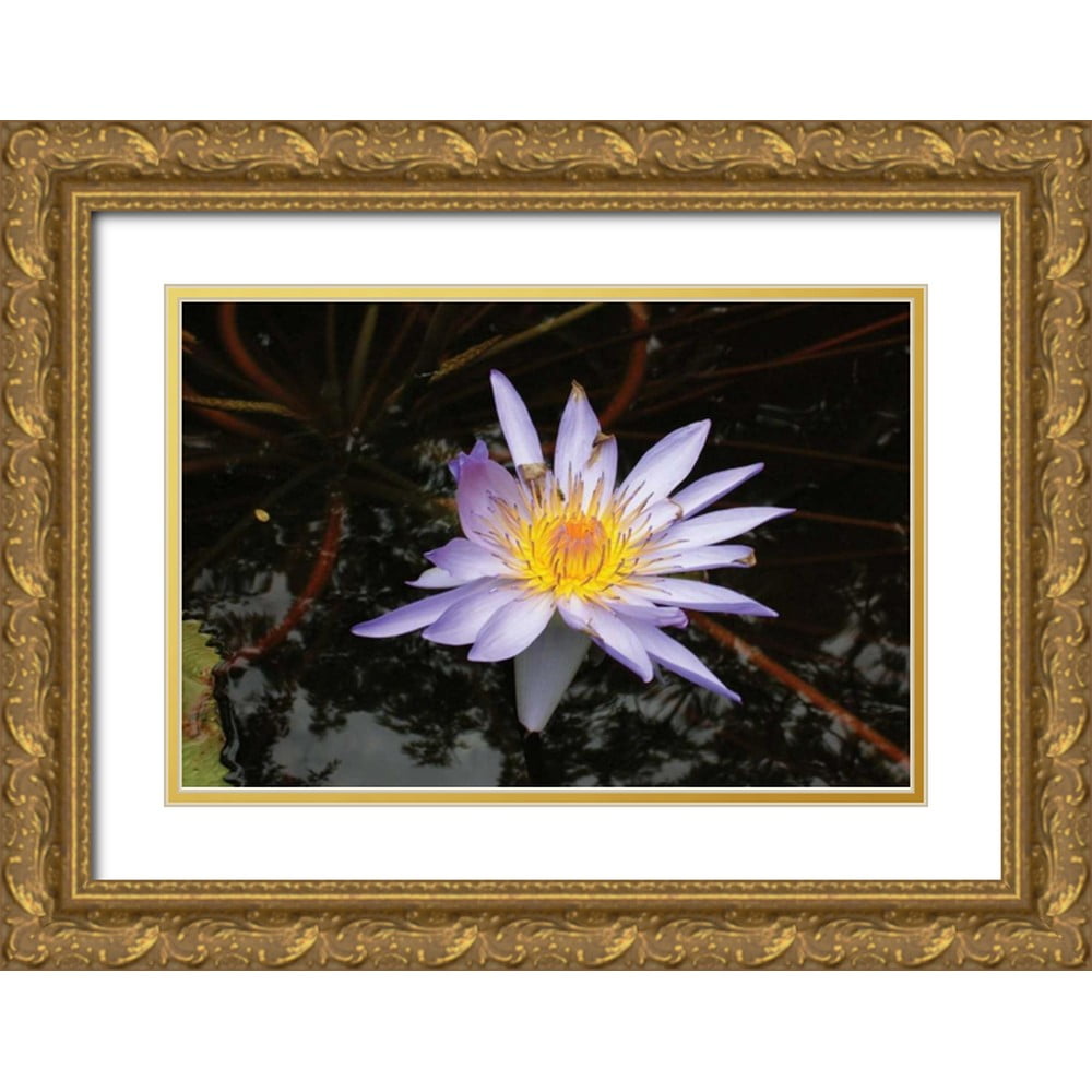 Underdahl, Dana 32x23 Gold Ornate Wood Framed with Double Matting ...