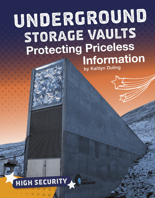 Underground Storage Vaults : Protecting Priceless Information - Walmart.com