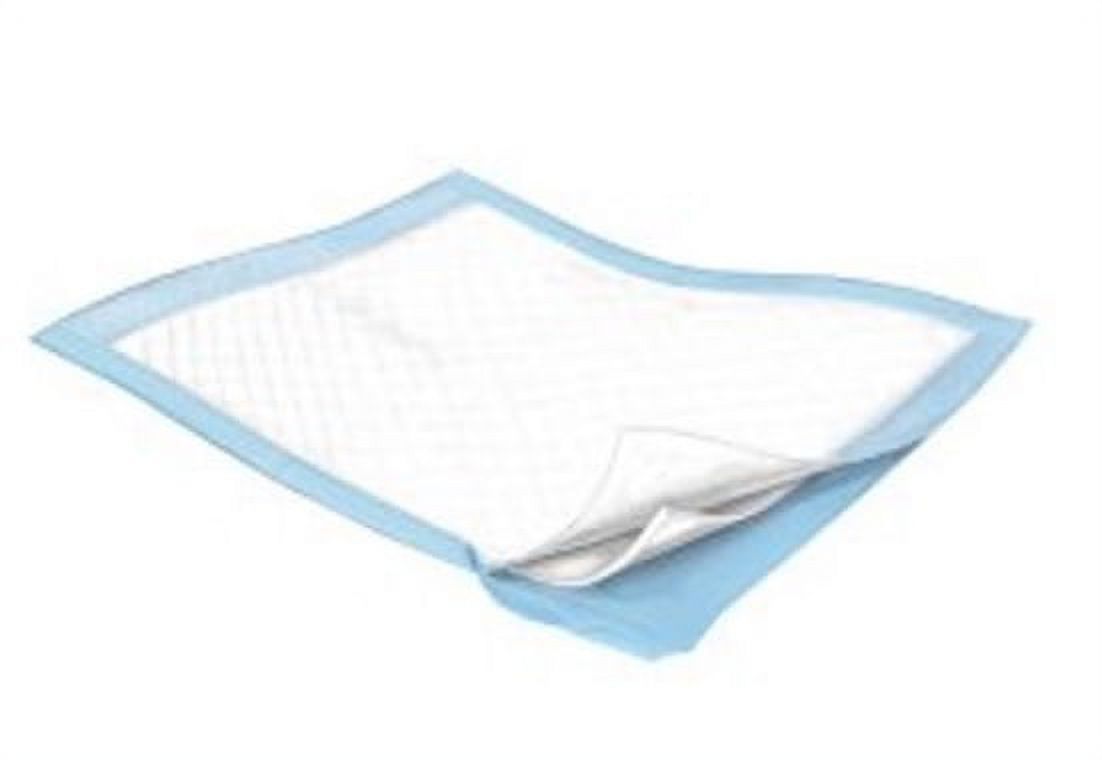 Underpad, Incont Lt Absrb 23"X36" (Units Per Case: 150) - Walmart.com