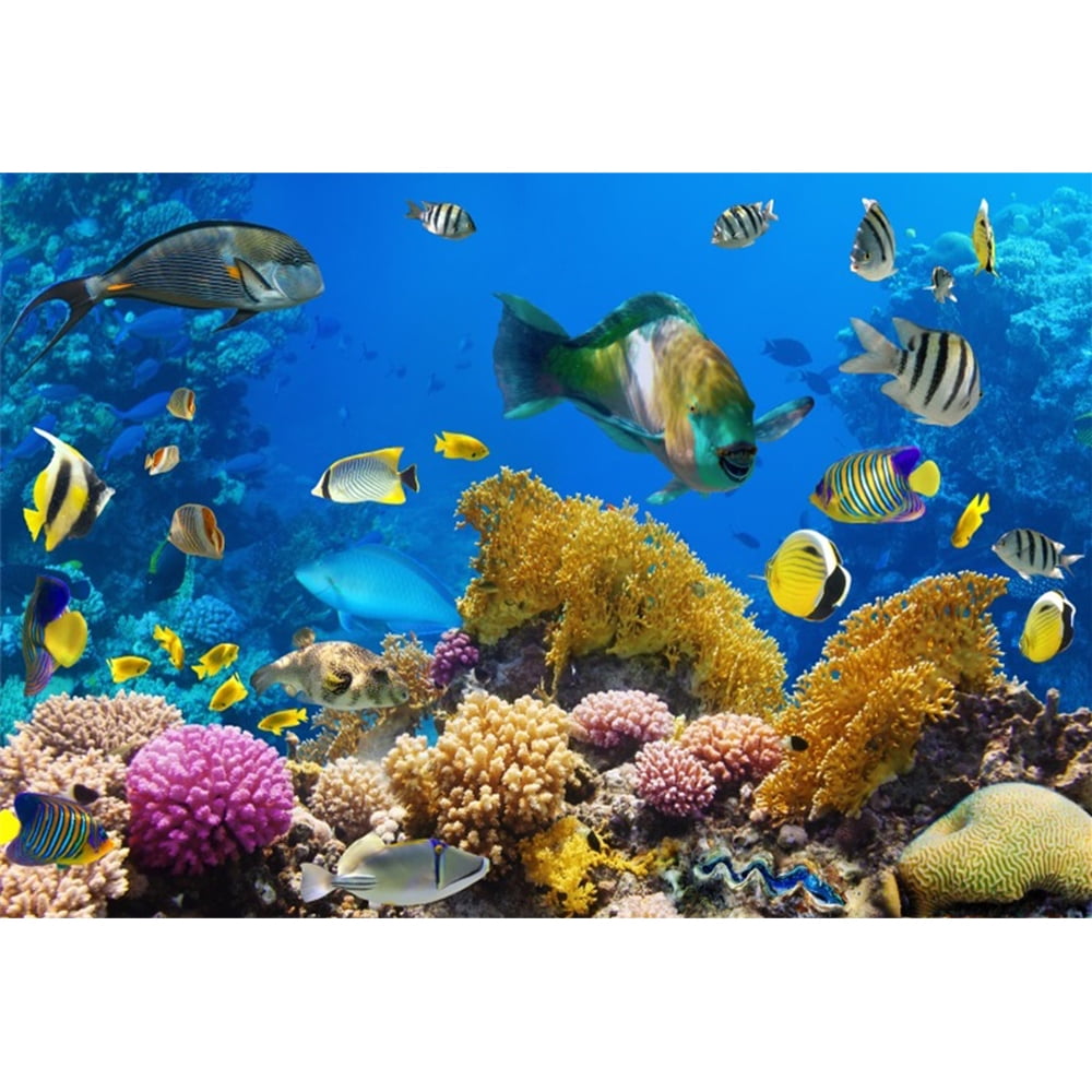 Undersea World Seabed Photography Backdrop Summer Ocean Underwater Fish ...
