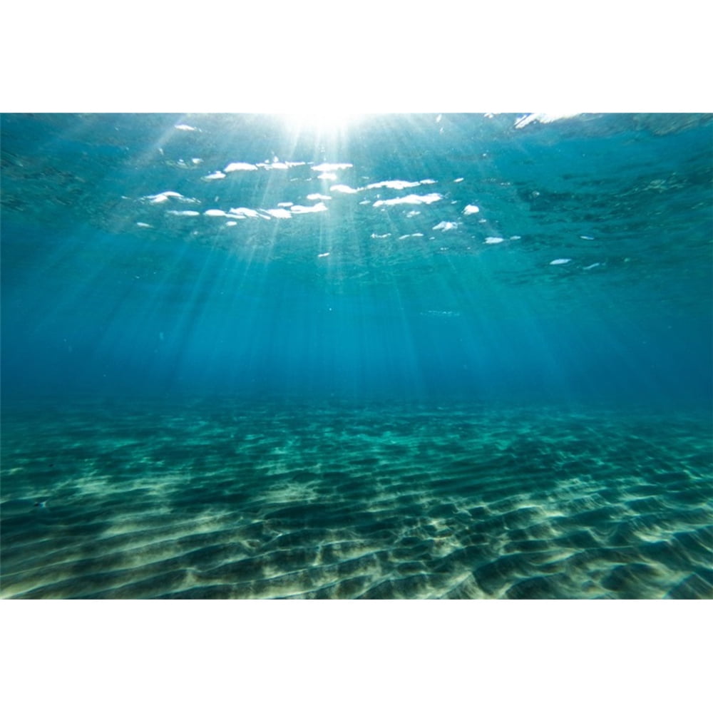 Undersea World Seabed Photography Backdrop Summer Ocean Underwater Fish ...