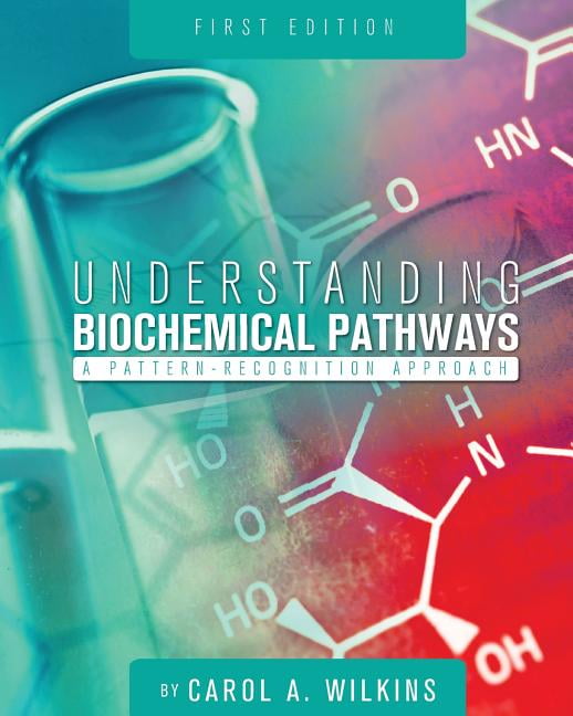 Understanding Biochemical Pathways: A Pattern-Recognition Approach ...