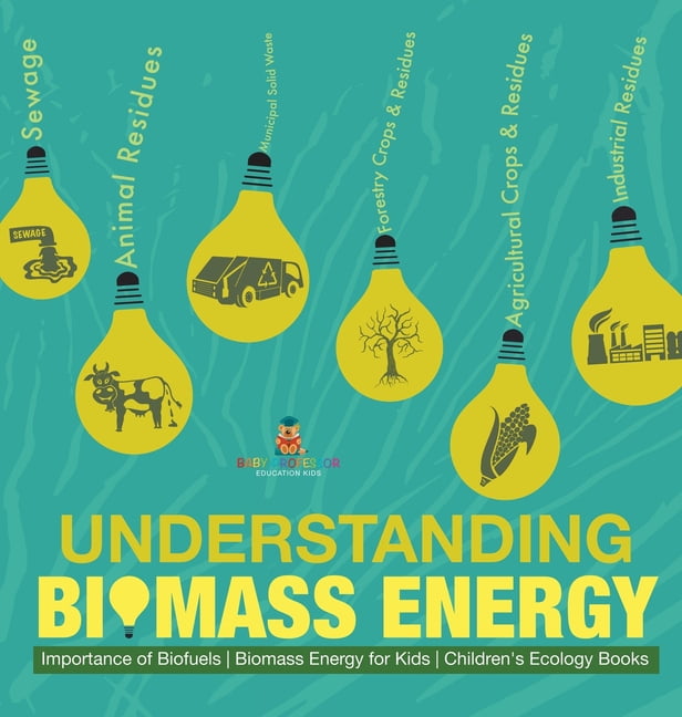 Understanding Biomass Energy - Importance of Biofuels Biomass Energy ...