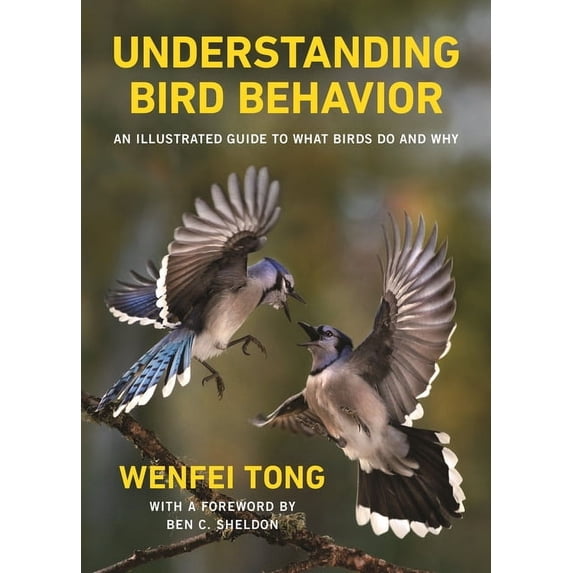 Understanding Bird Behavior: An Illustrated Guide to What Birds Do and ...