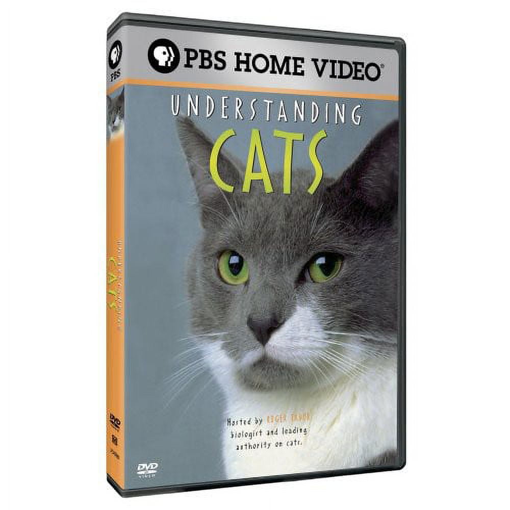 Understanding Cats (DVD), PBS (Direct), Documentary - Walmart.com
