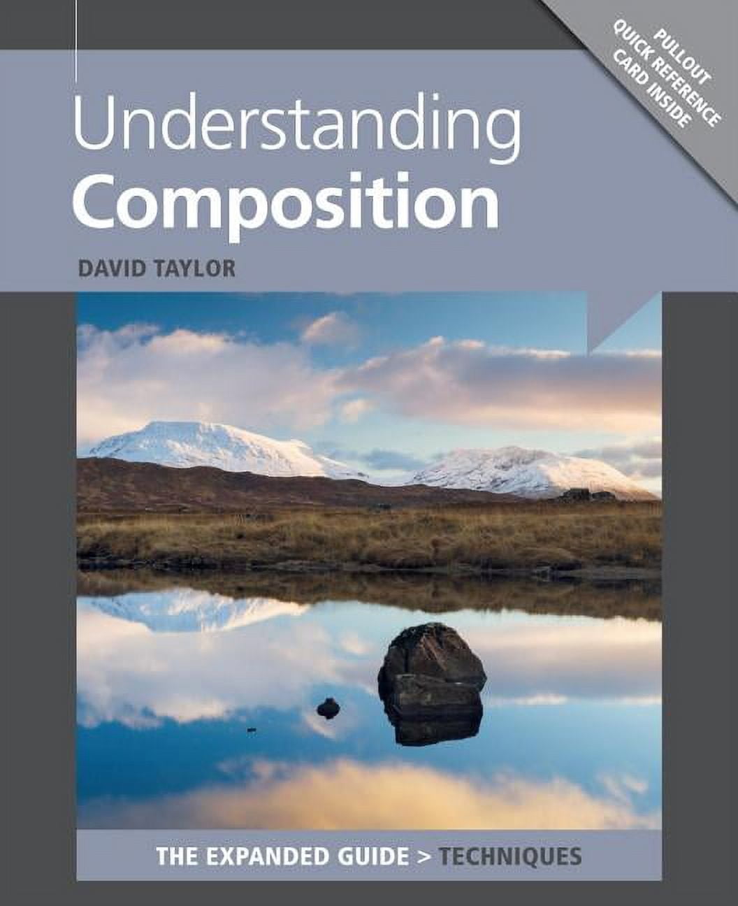 Understanding Composition : The Expanded Guide: Techniques - Walmart.com