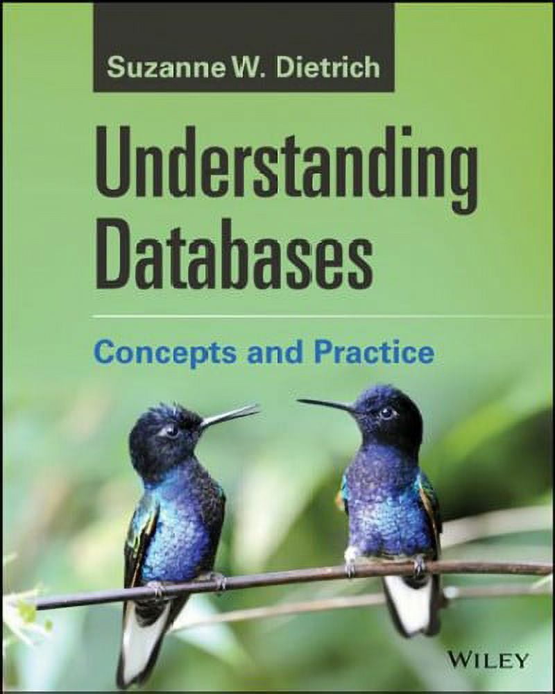 Understanding Databases: Concepts and Practice - Walmart.com