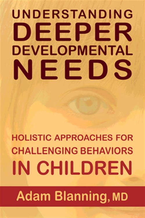 Pre-Owned Understanding Deeper Developmental Needs: Holistic Approaches ...