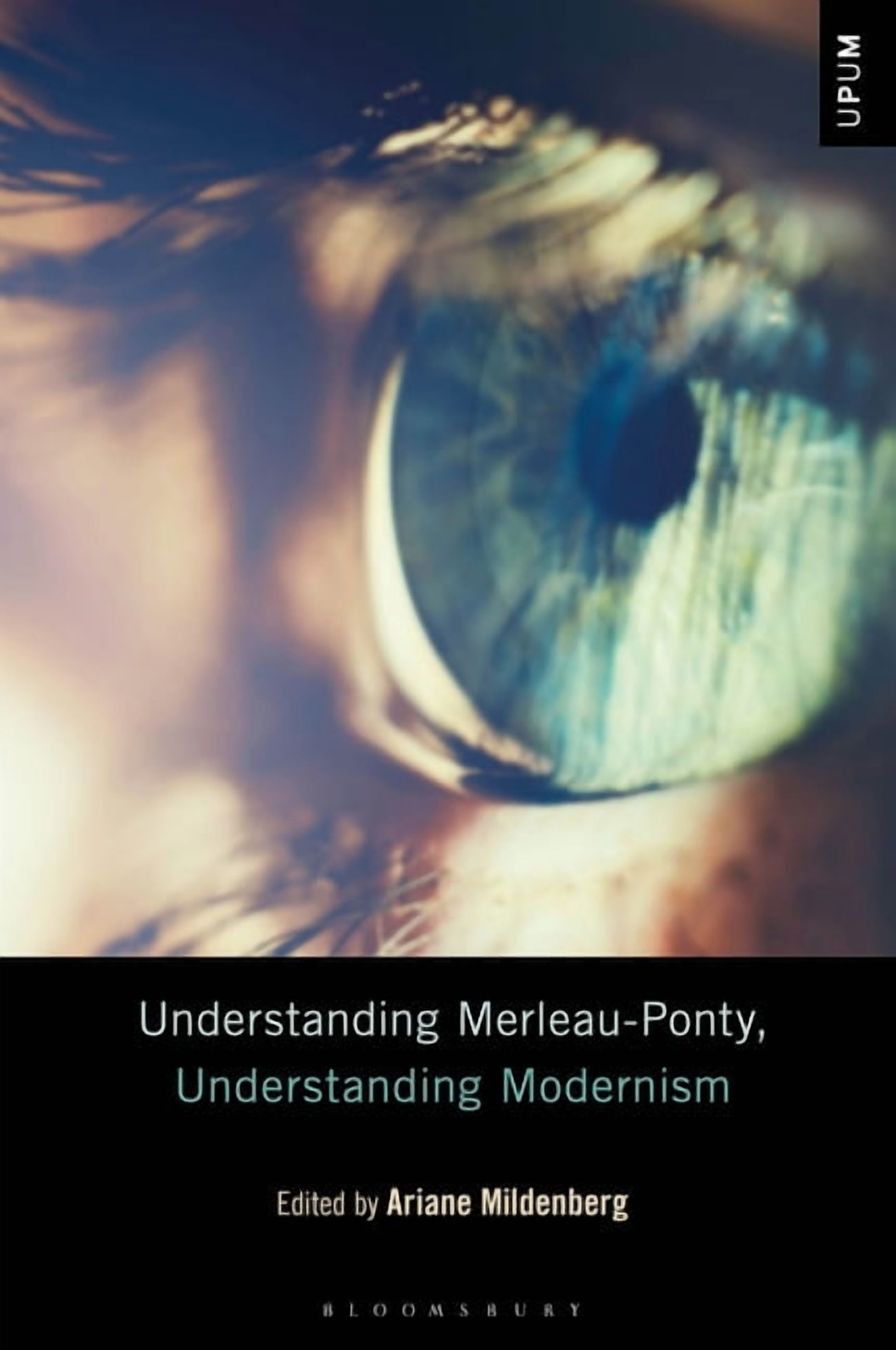 Understanding Philosophy, Understanding Understanding Merleau-Ponty ...