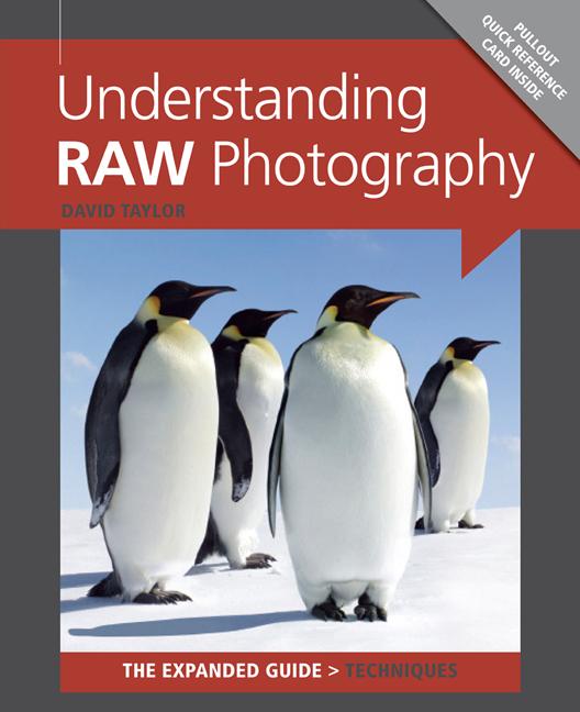 Understanding Raw Photography : The Expanded Guide - Walmart.com