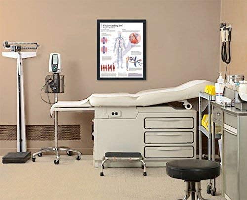 Understanding The Common Cold Framed Medical Educational Informational ...