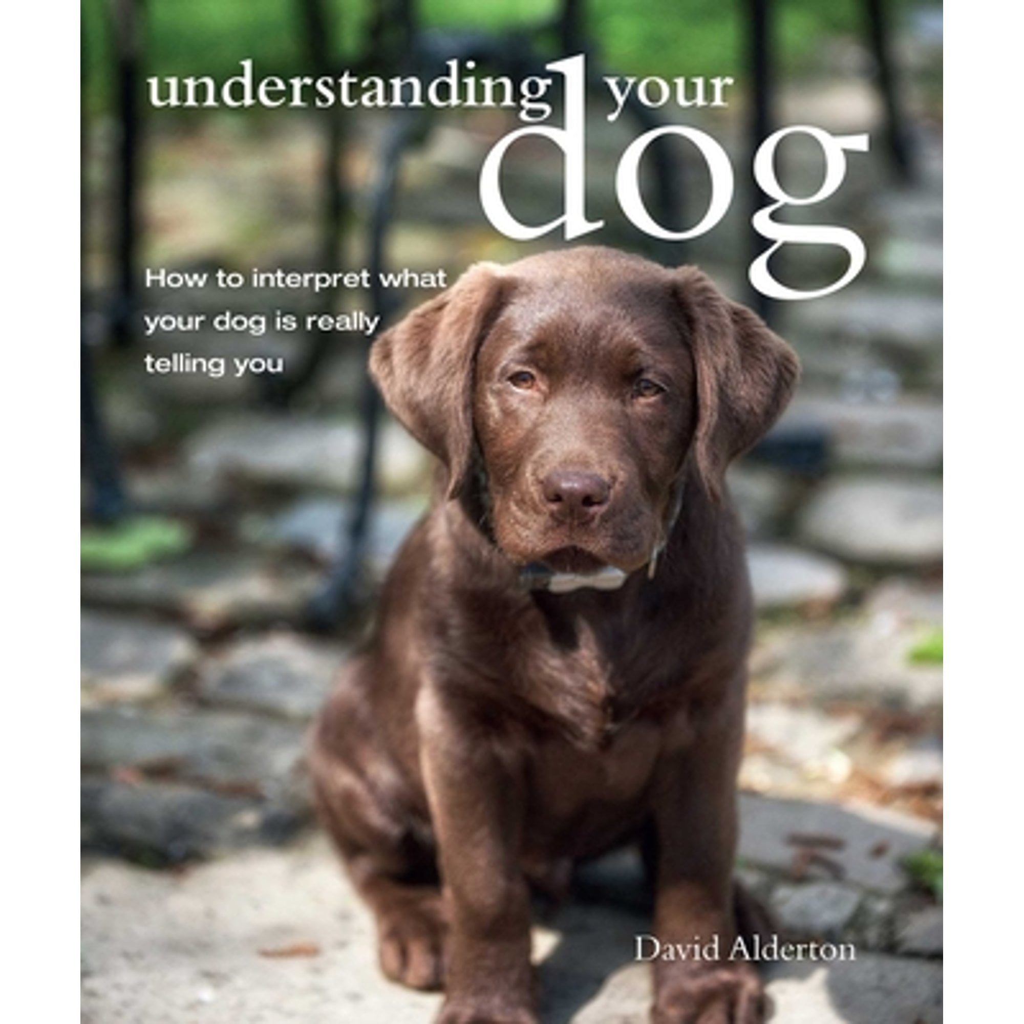 Pre-Owned Understanding Your Dog: How to Interpret What Your Dog is Really Telling You ...