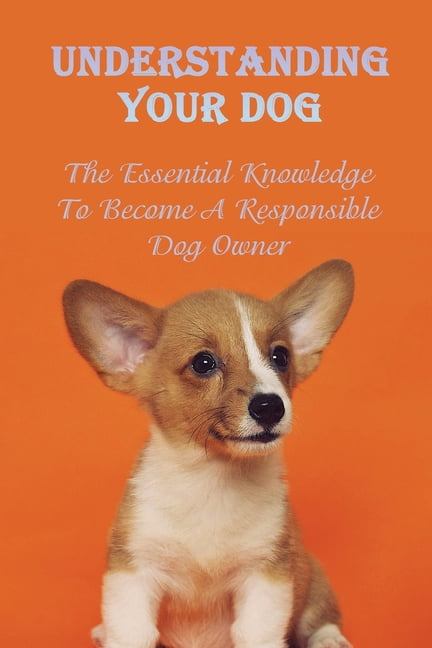 Responsible Dog Owner