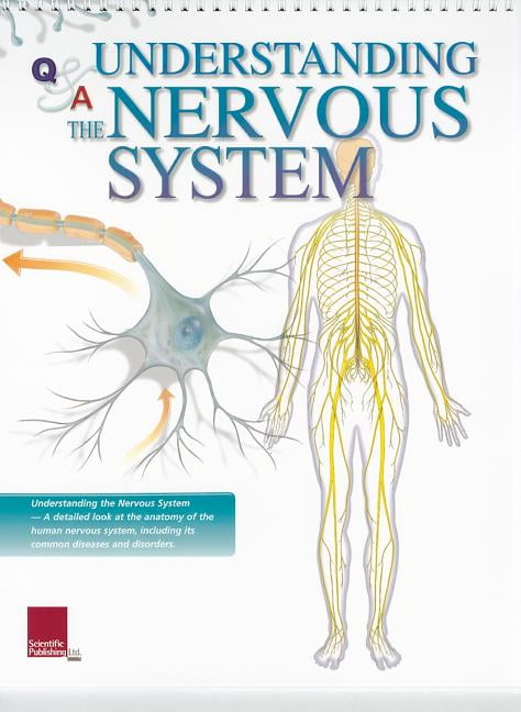 Understanding the Nervous System Flip Chart (Wallchart) - Walmart.com Understanding the Nervous System Flip Chart (Wallchart) - Walmart.com