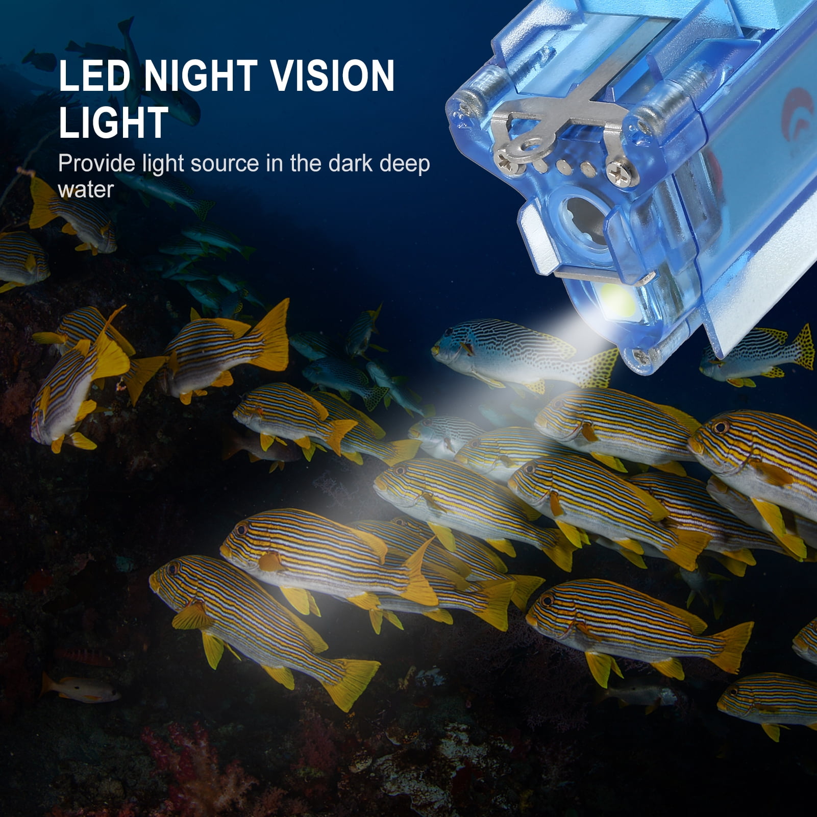 Underwater Camera,Video Loop Camera Fish Loop App Video Camera Lake ...