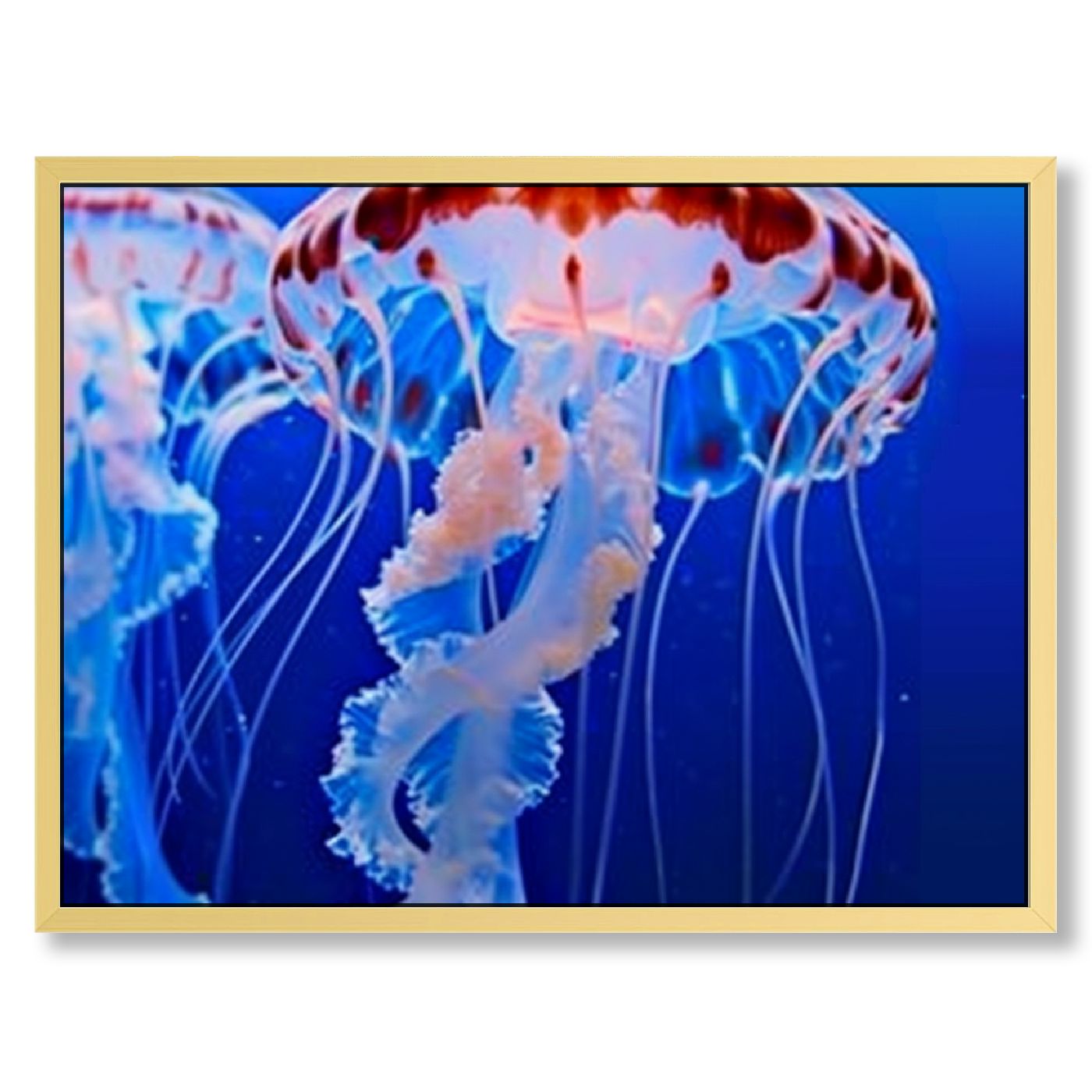 Underwater Canvas Art Ocean Wall Art Ocean Jellyfish Canvas Canvas ...