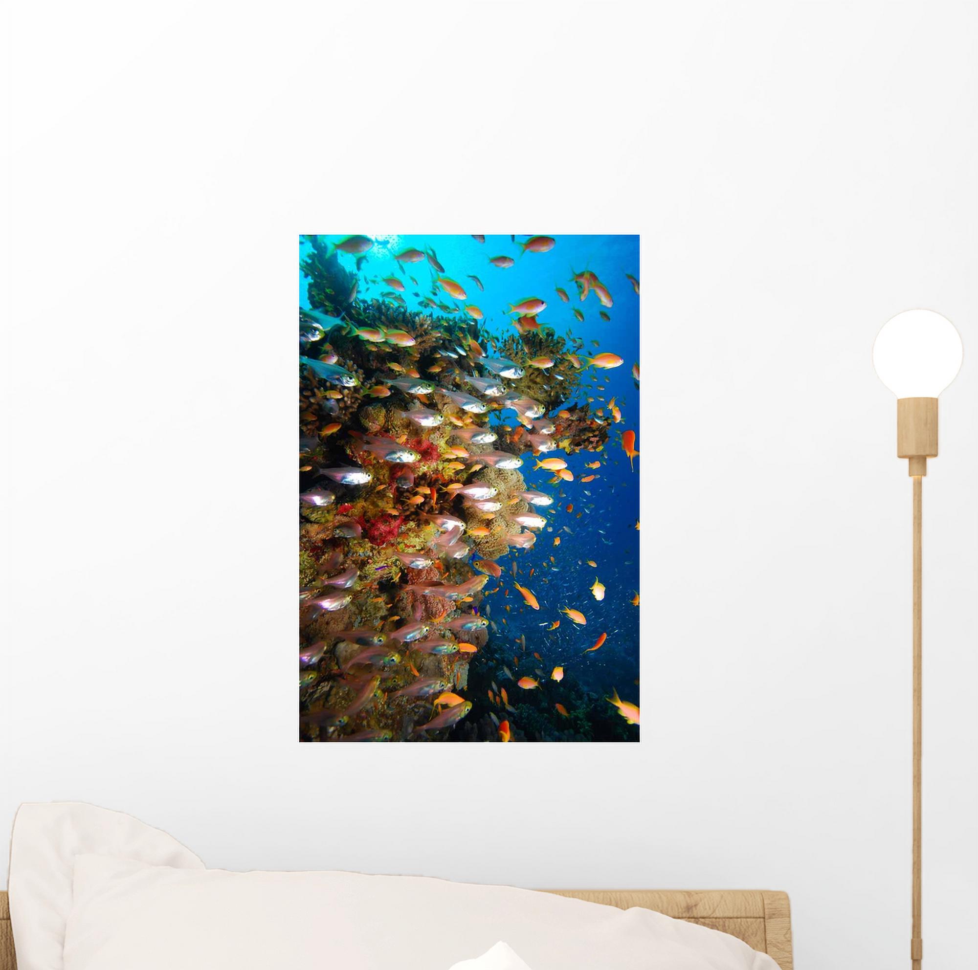 Underwater Coral Reef Wall Mural Decal Sticker, Wallmonkeys Peel ...