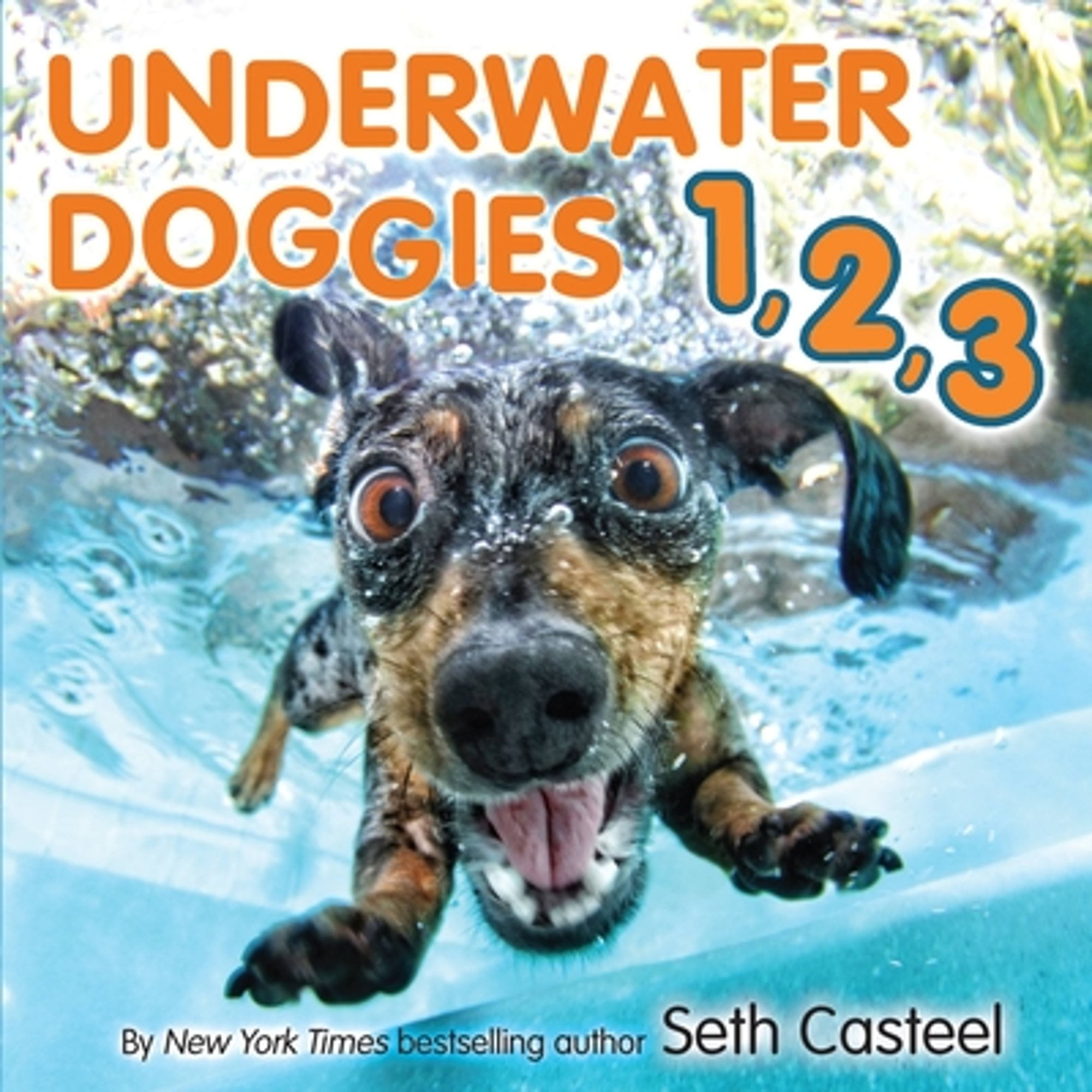 Pre-Owned Underwater Doggies 1,2,3 (Board book) 0316331759 9780316331753 - Walmart.com