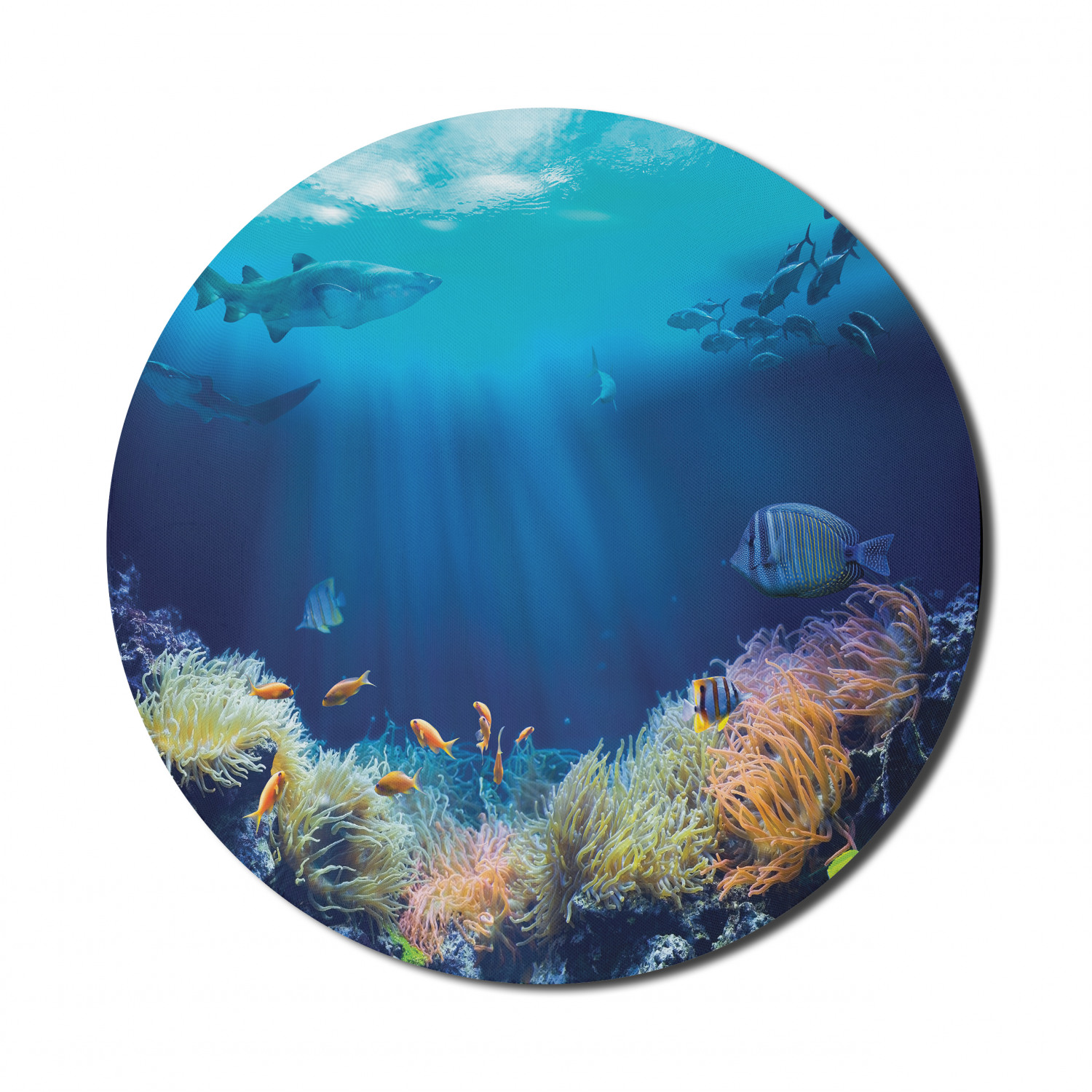 Underwater Mouse Pad for Computers, Various Fish in the Ocean Tranquil ...