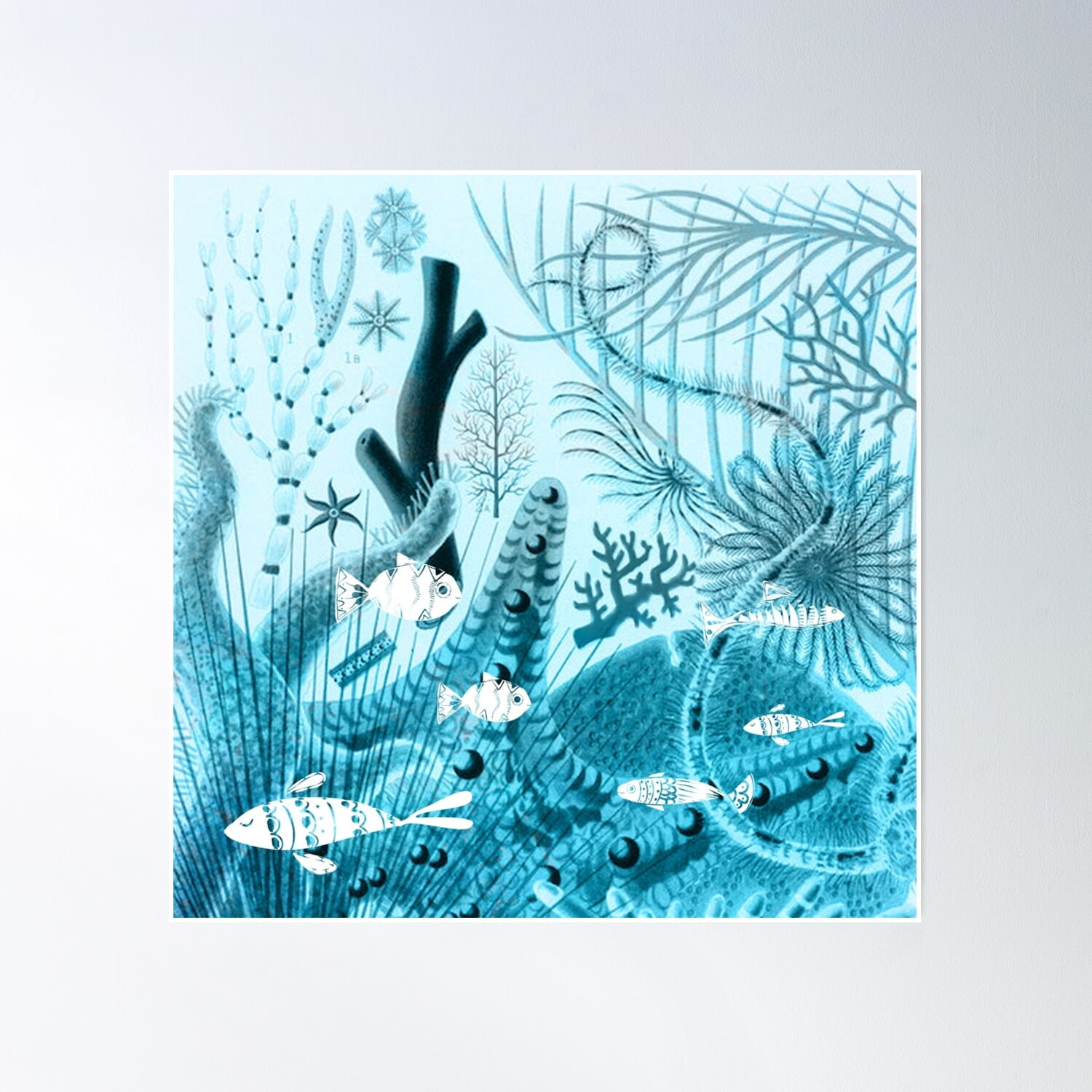 Underwater Ocean Life Poster Wall Art, Modern Wall Decor, 24x24 ...