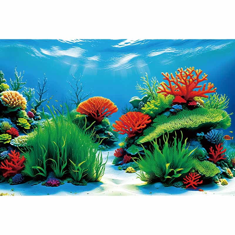 Underwater Product Photography Props Aquarium Background for Subject ...