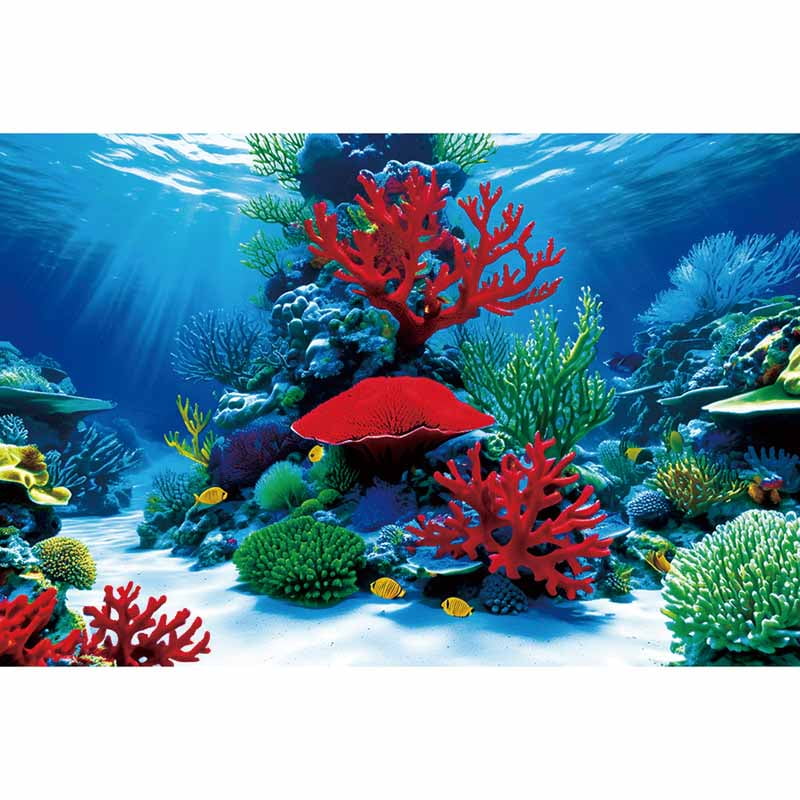 Underwater Product Photography Props Aquarium Background for Subject ...